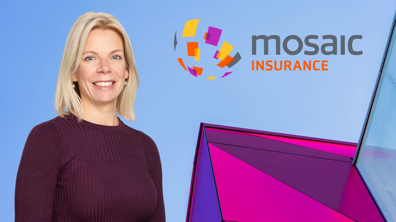 Mosaic expands professional lines unit with experienced litigator ...